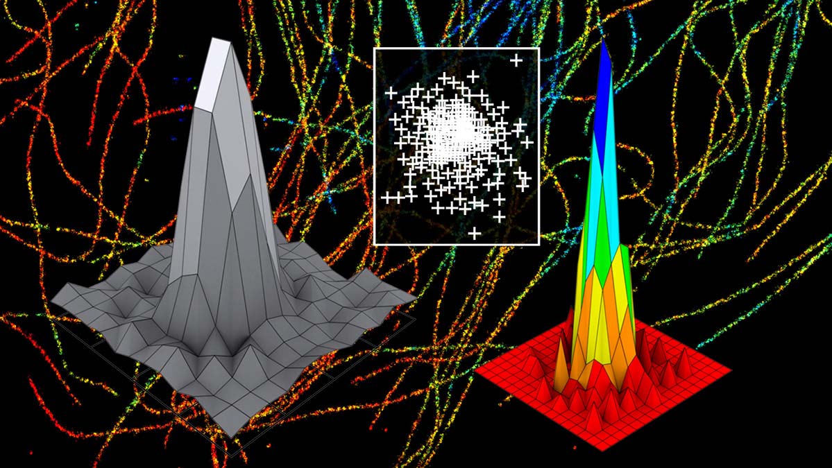 Nikon’s Small World