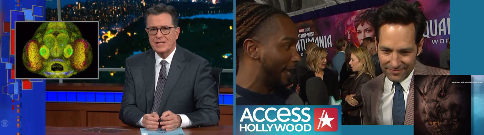 Nikon Small World in the Media | News | Nikon Small World