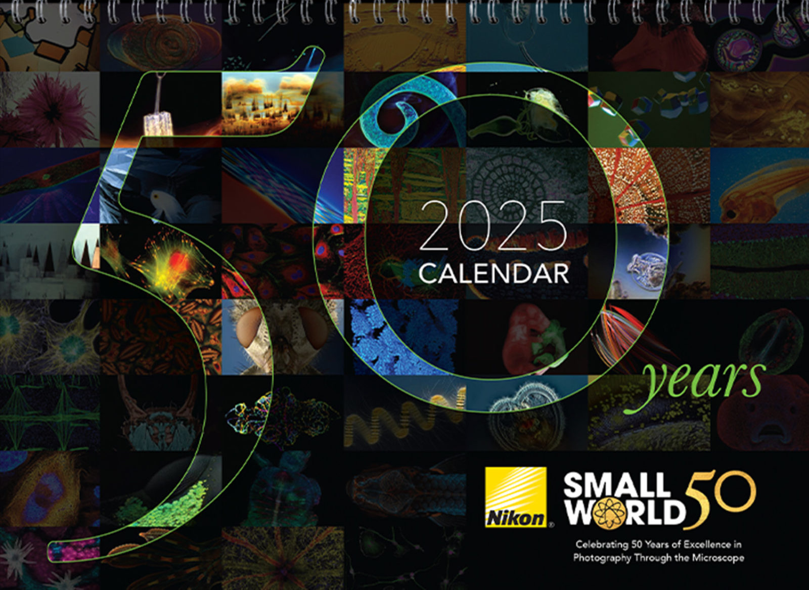 2025 Nikon Small World Wall Calendar Now Available for Purchase | News ...