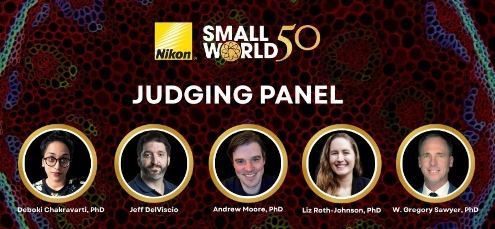 Nikon Announces Judging Panel for the 51st Annual Small World ...