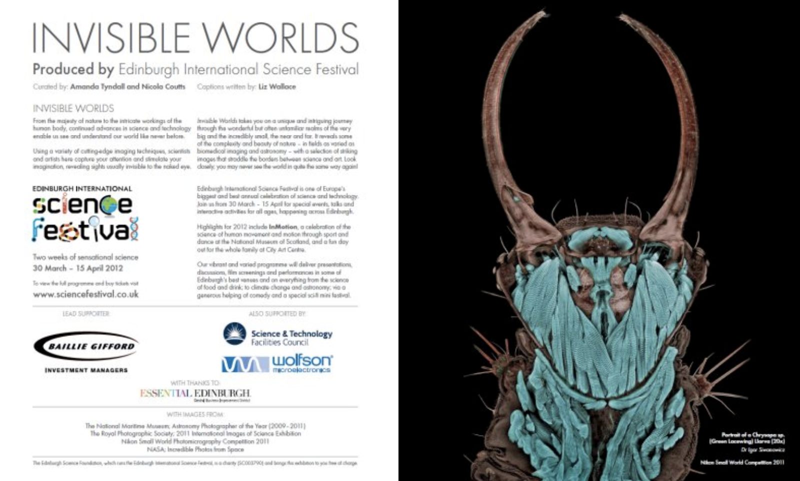 Small World Winners Featured at the Edinburgh Science Festival | News ...