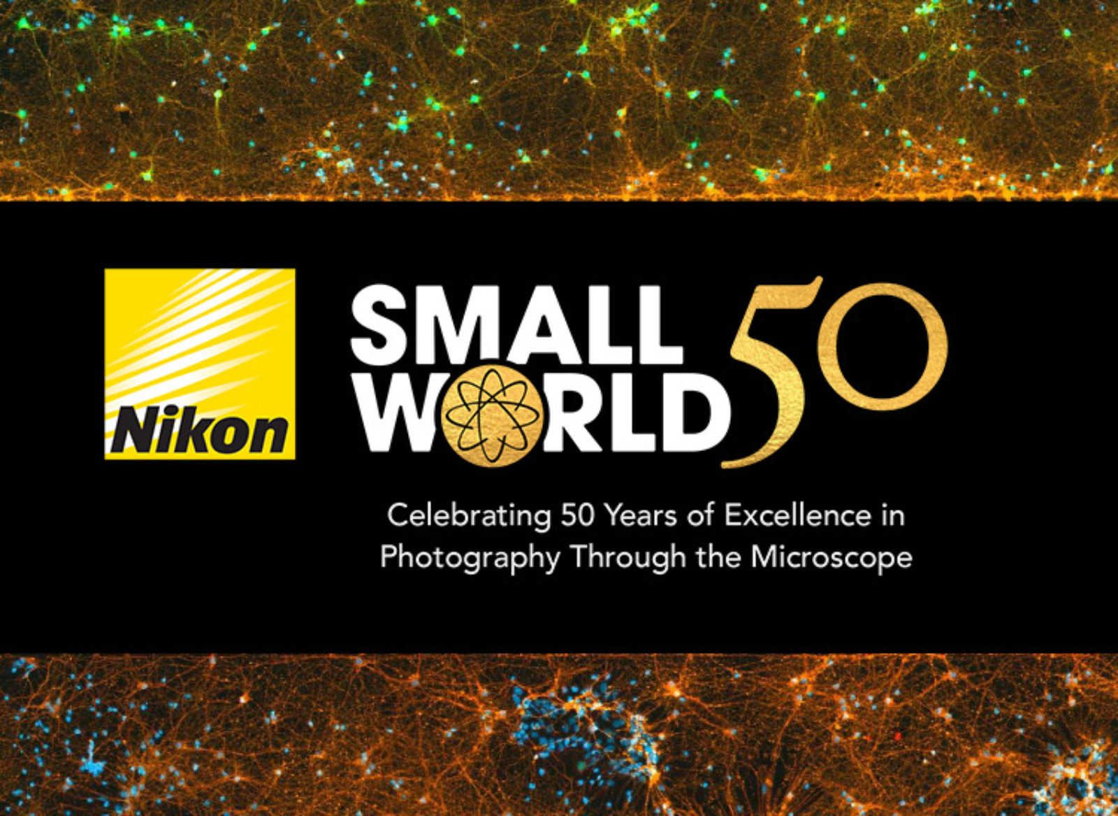 Nikon Small World Celebrates Fifty Years of Microscopic Marvels | News ...