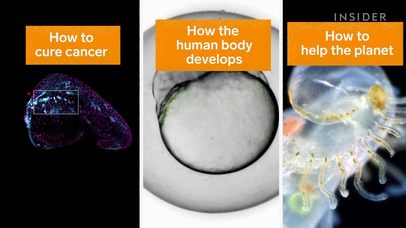 Small World in Motion Winners Featured on Business Insider | News ...