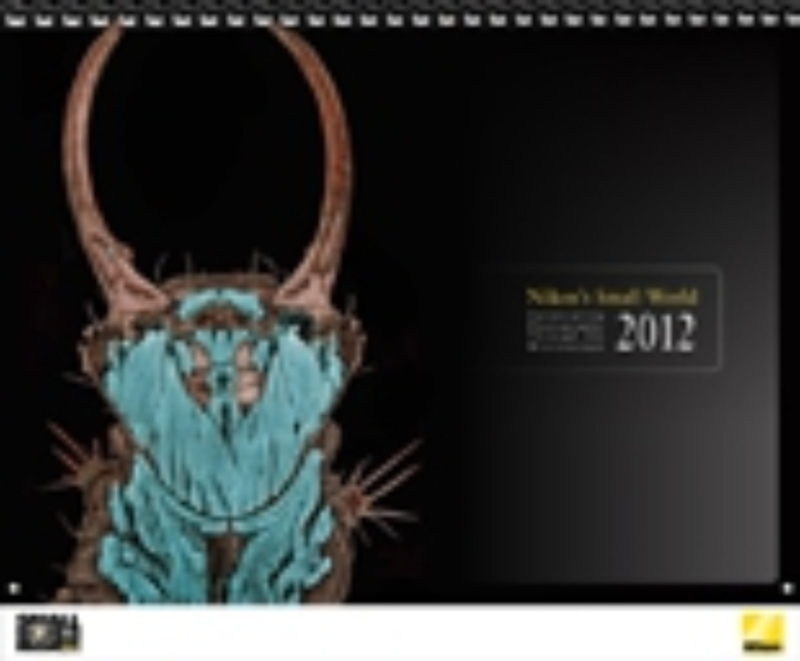 2012 Small World Calendars Available | News | Nikon Small World