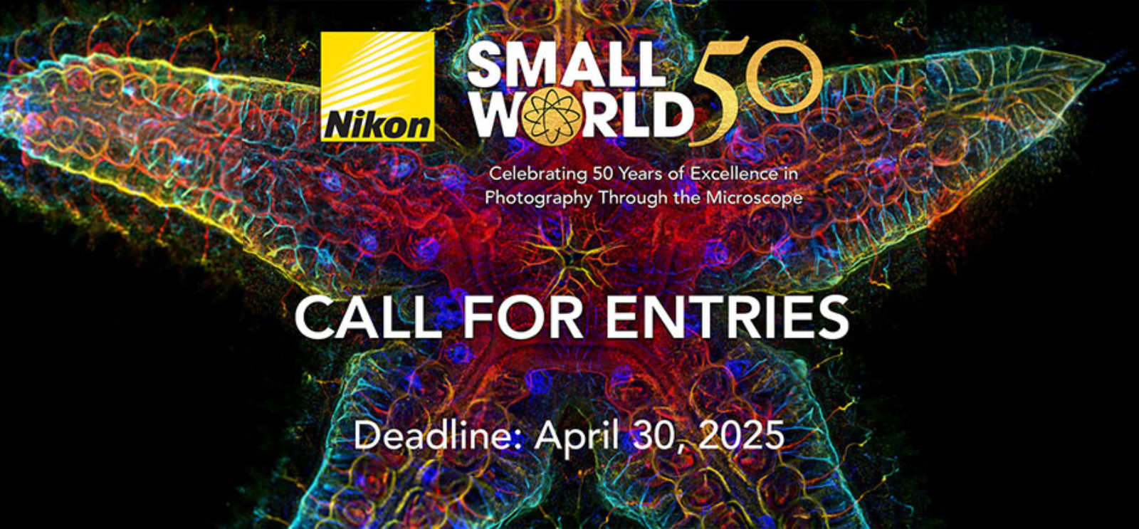 Nikon Announces it is Accepting Images for its Nikon Small World Photo ...