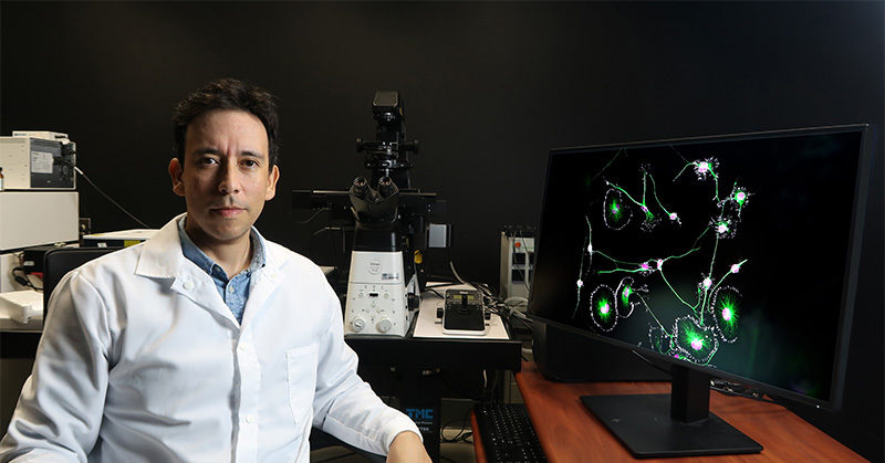 Celebrating 50 Years of Nikon Small World Featuring Dr. Bruno Cisterna ...