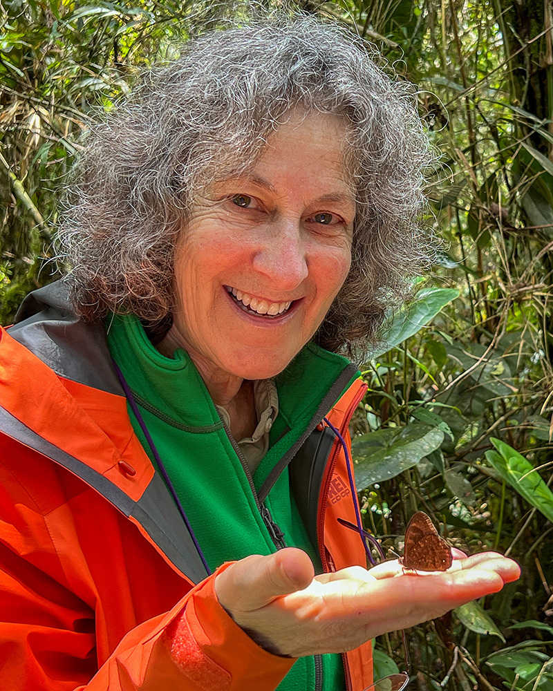 Alison Pollack’s Journey Capturing the Beauty of Nature’s Smallest ...