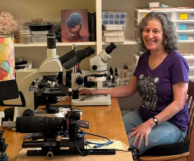 Alison Pollack’s Journey Capturing the Beauty of Nature’s Smallest ...