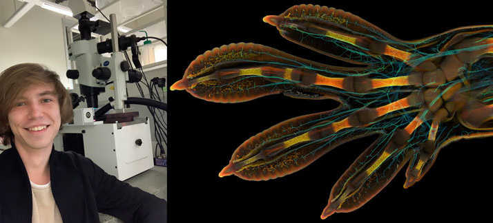 Dr. Grigorii Timin on the Hidden Beauty and Complexity of the Gecko ...