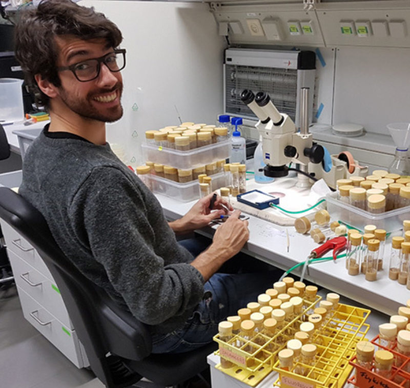 Dr. Bruno Vellutini on Decoding Life's Blueprint | Masters of ...