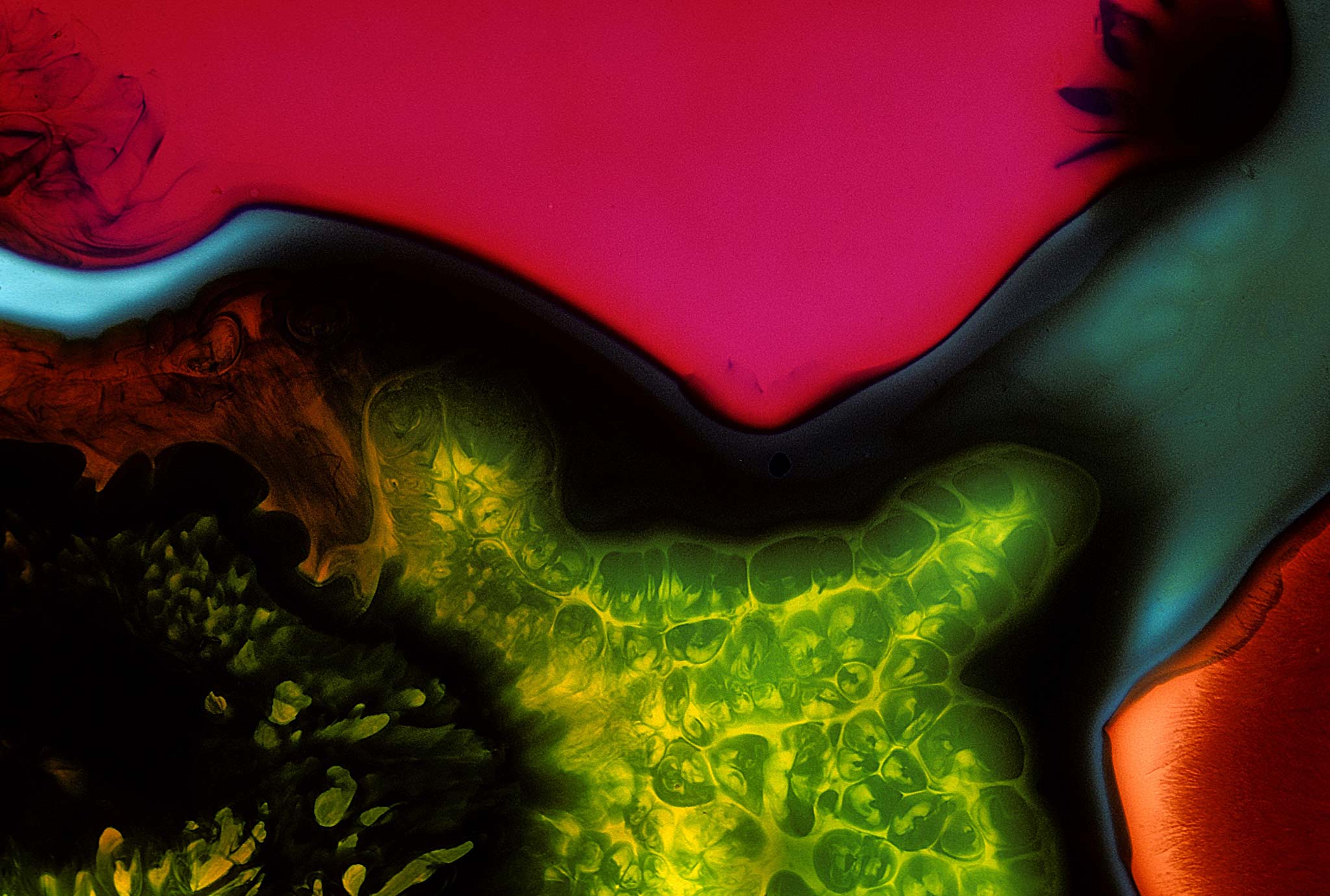 Color dyes | Nikon Small World