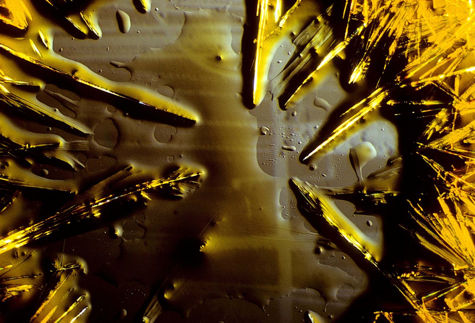 Photochemical crystals | Nikon Small World