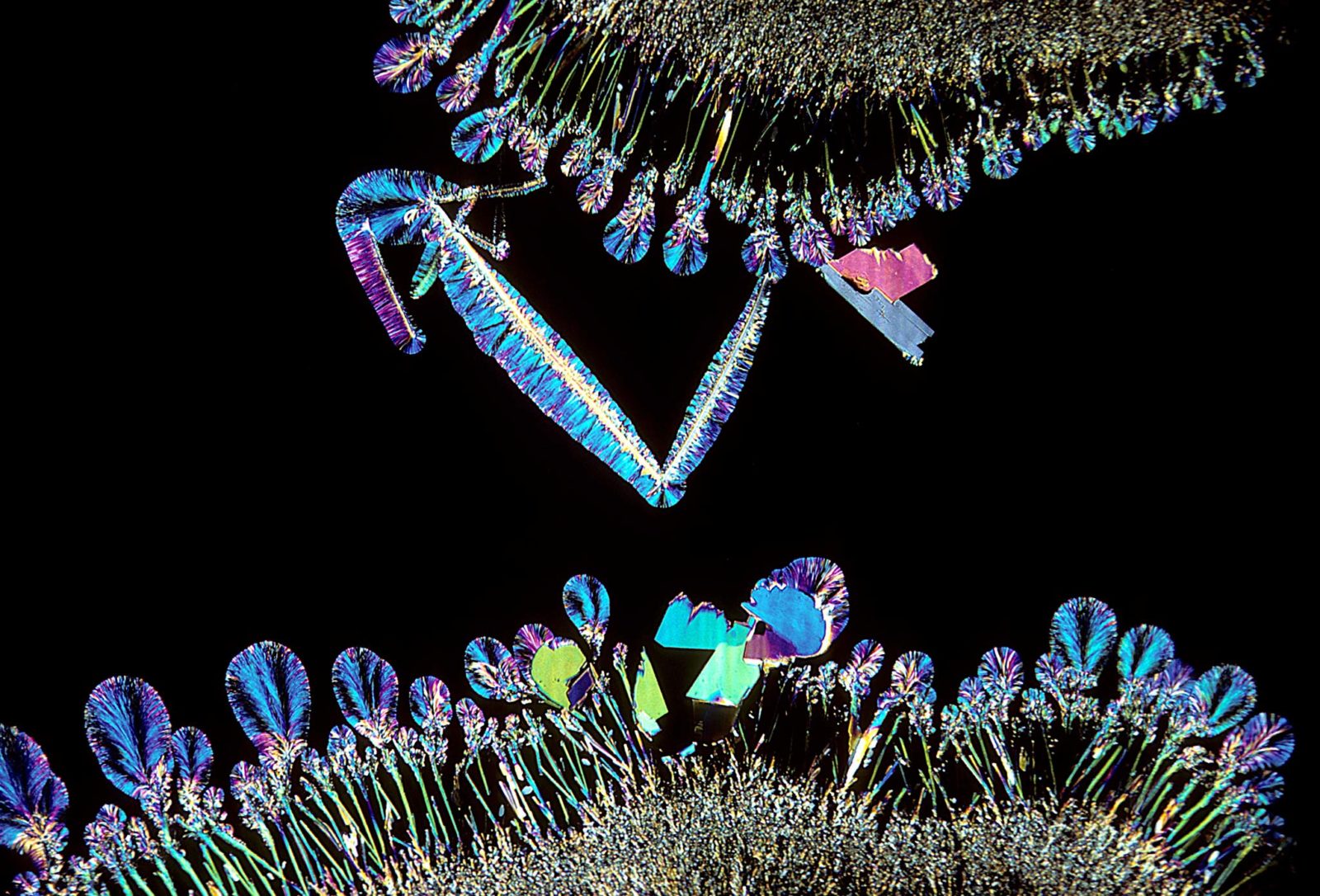 Crystals of propionamide in optically isotropic medium | Nikon Small World
