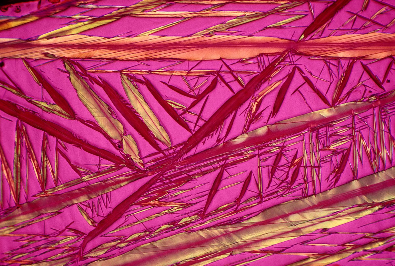 Crystals in quenched steel in a matrix of austenite | Nikon Small World