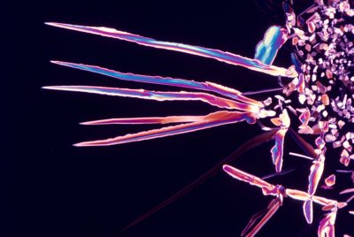 Crystals of pyrocatechol | Nikon Small World