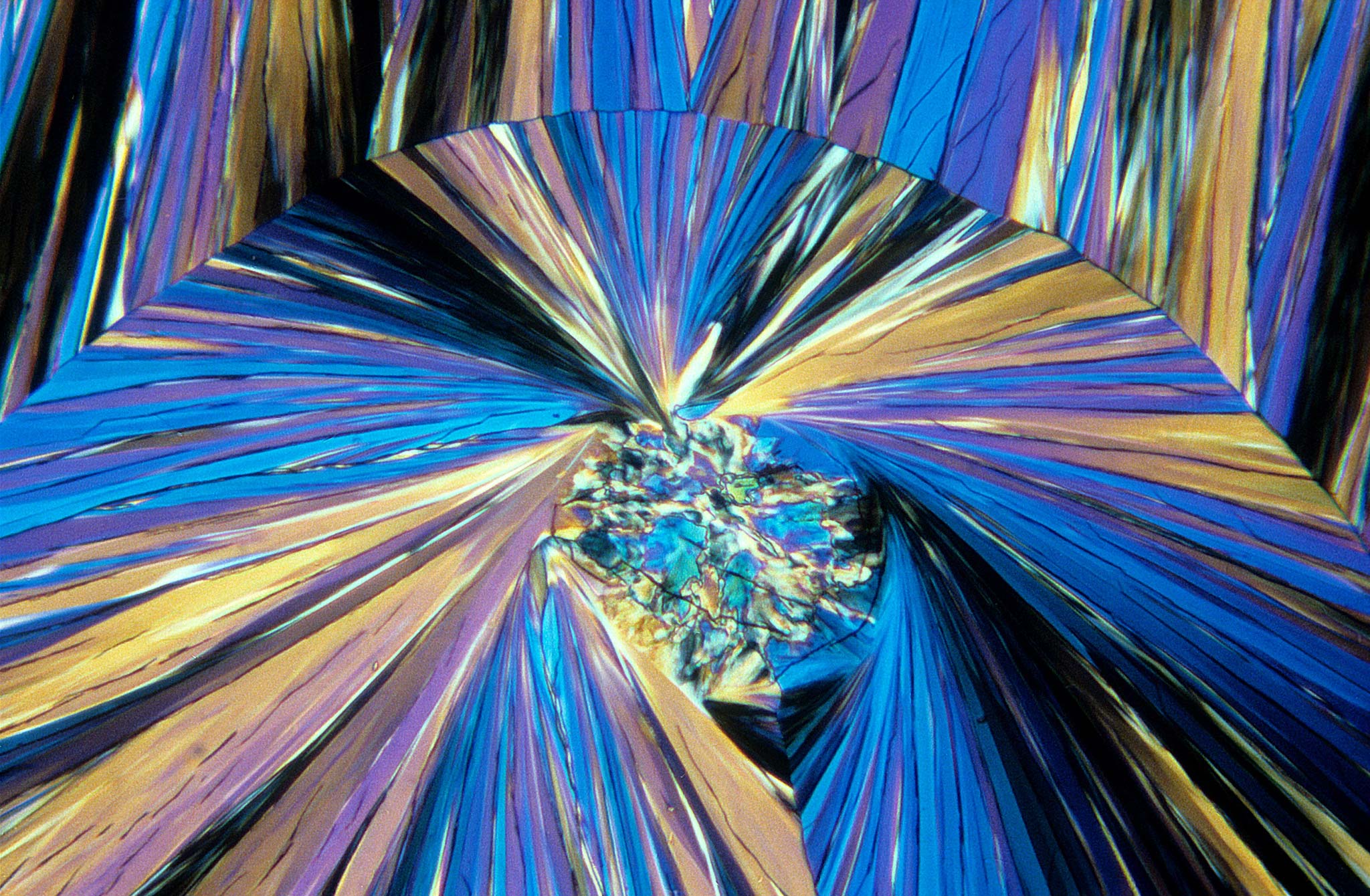 TNT Polymorph | Nikon Small World