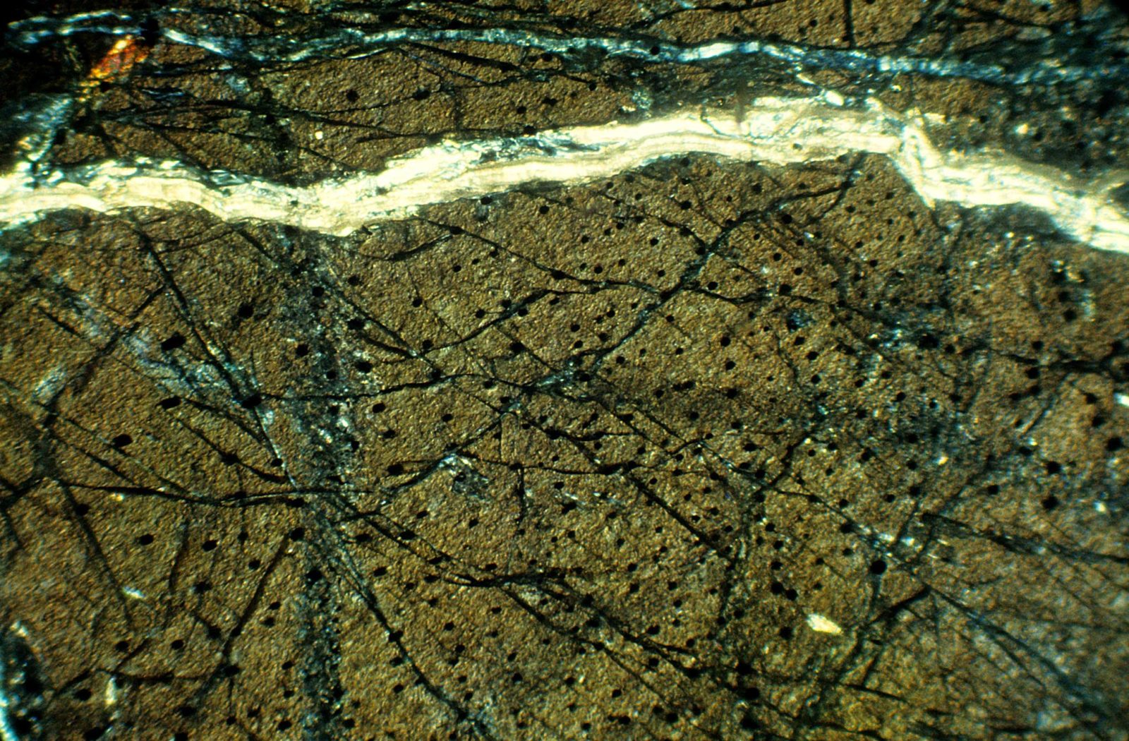 Clinopyroxene crystal with sulfide inclusions and calcite vein | Nikon ...