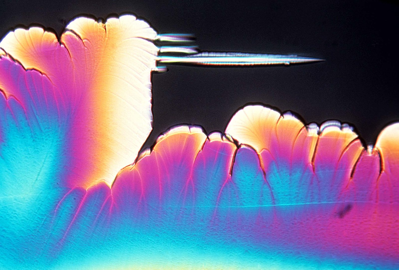 Photochemical bleach crystal | Nikon Small World