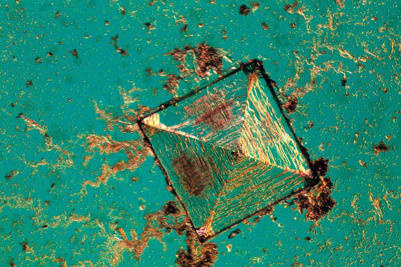 Sodium chloride crystal in salt solution | Nikon Small World