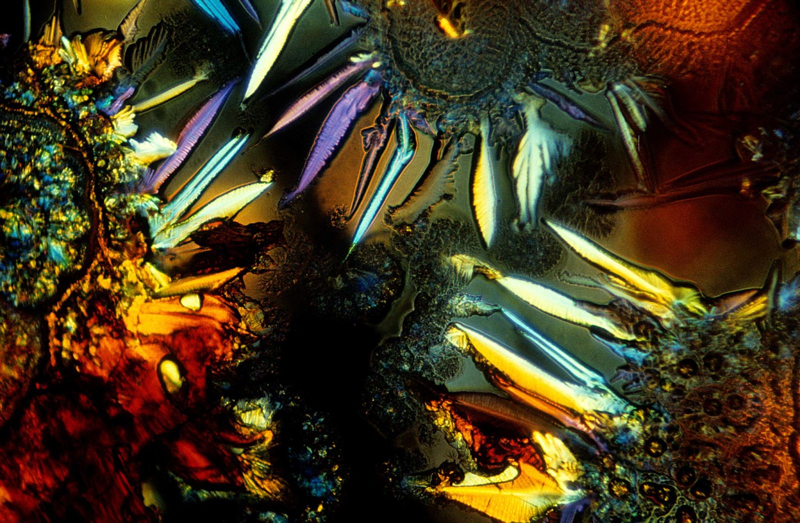 Hexanitrodiphenylamine high-explosive crystals | Nikon Small World