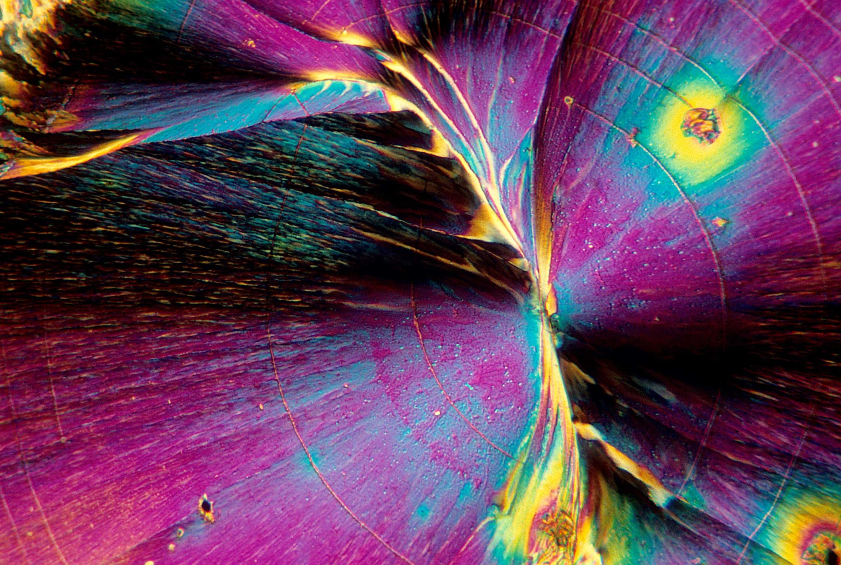 Pyrogallic acid | Nikon Small World