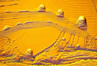 Gold, vaporized in a tungsten boat, in a vacuum evaporator | Nikon ...
