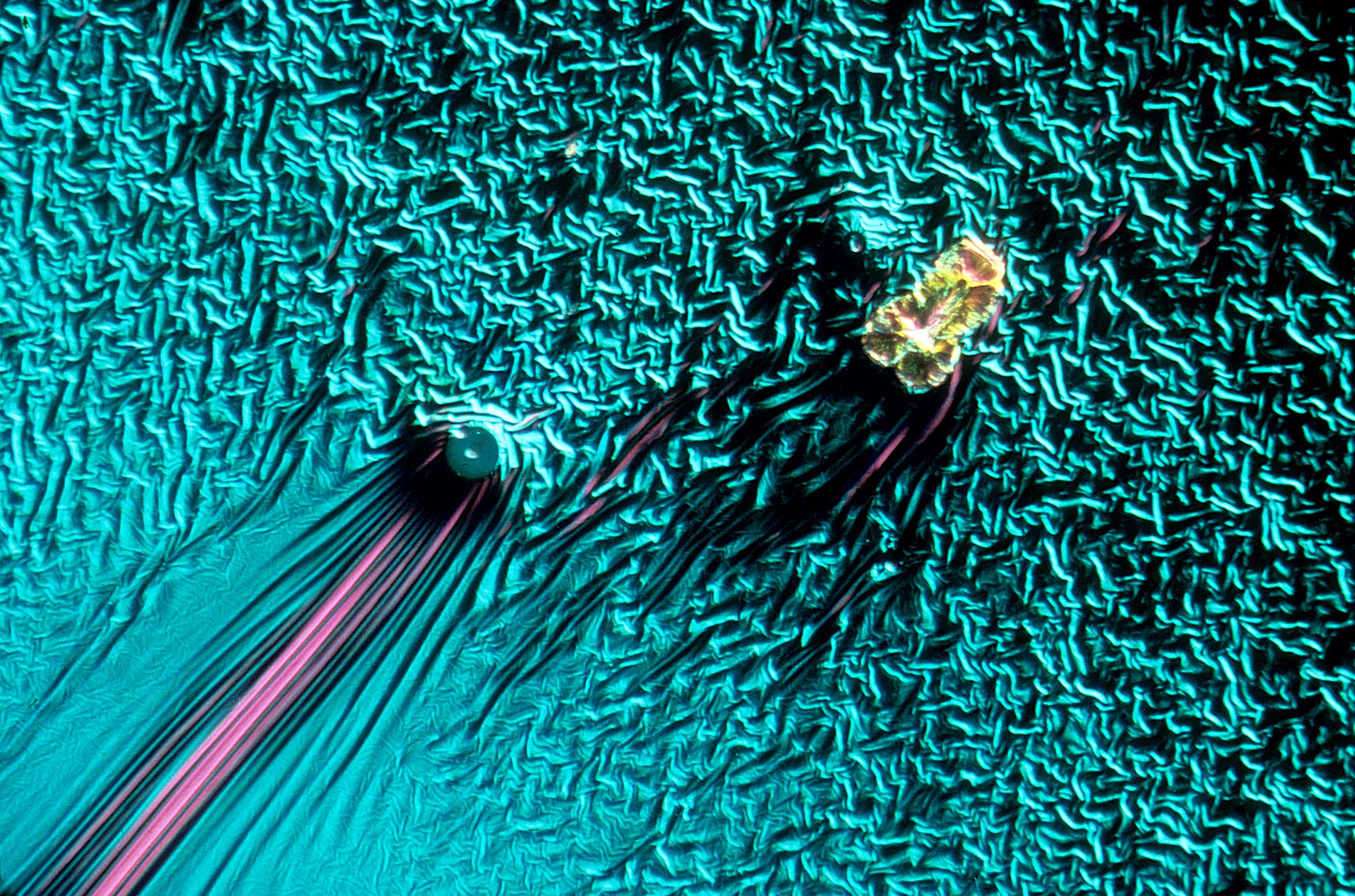 A broad spectrum antibiotic, doxycycline, dissolved in water and ...