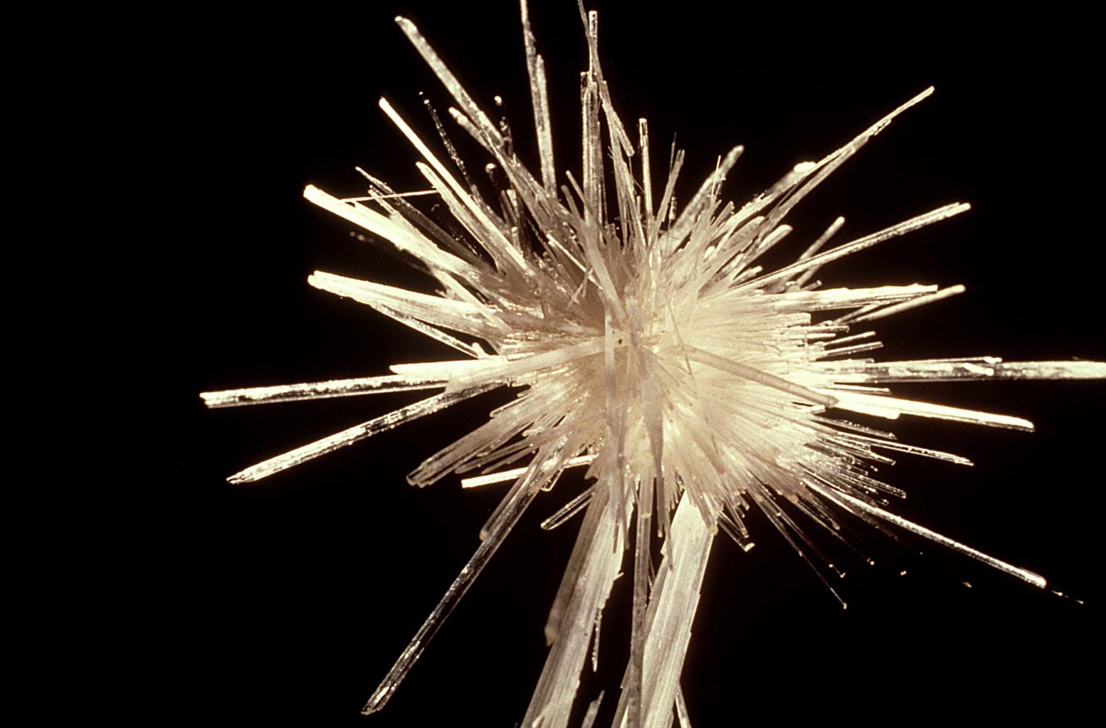 Micro mount hydrous calcium sulfate | Nikon Small World