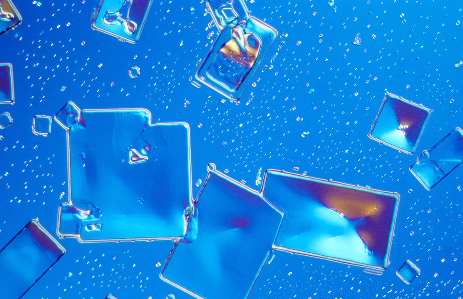 Resorcinol crystals heated and cooled quickly to recrystalize | Nikon ...