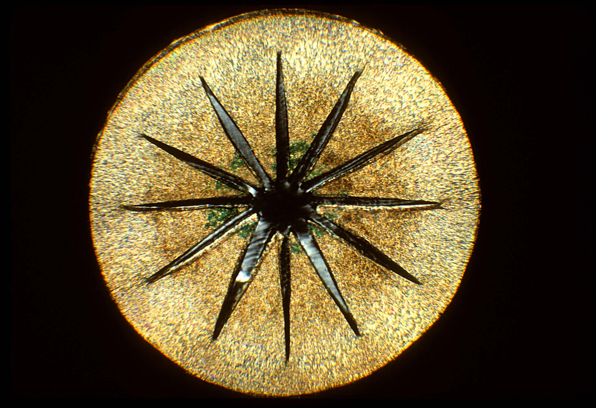 Thick cross-section of polymer pen tip (Green color is pen ink) | Nikon ...