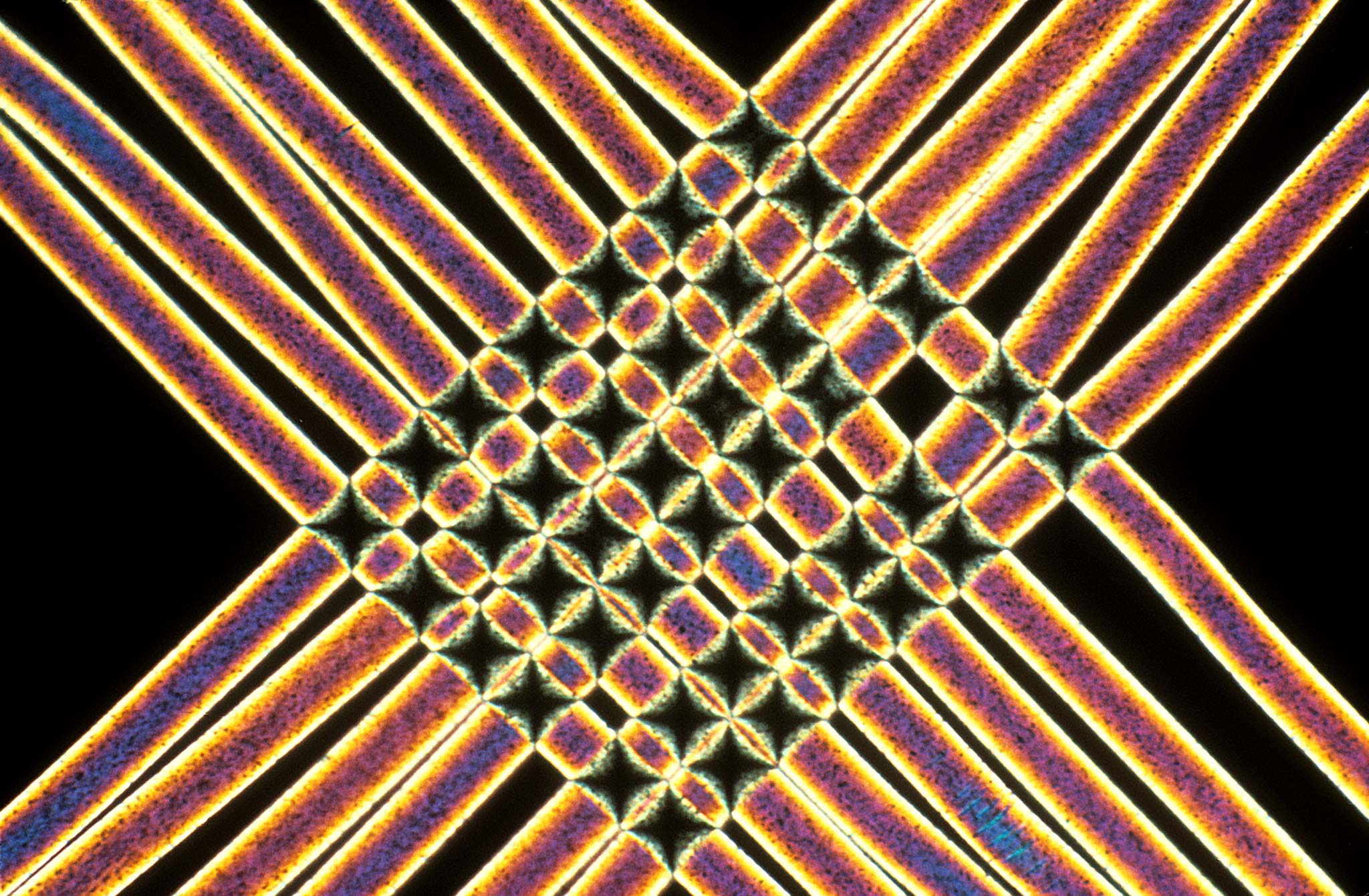 Polyester textile fibers | Nikon Small World