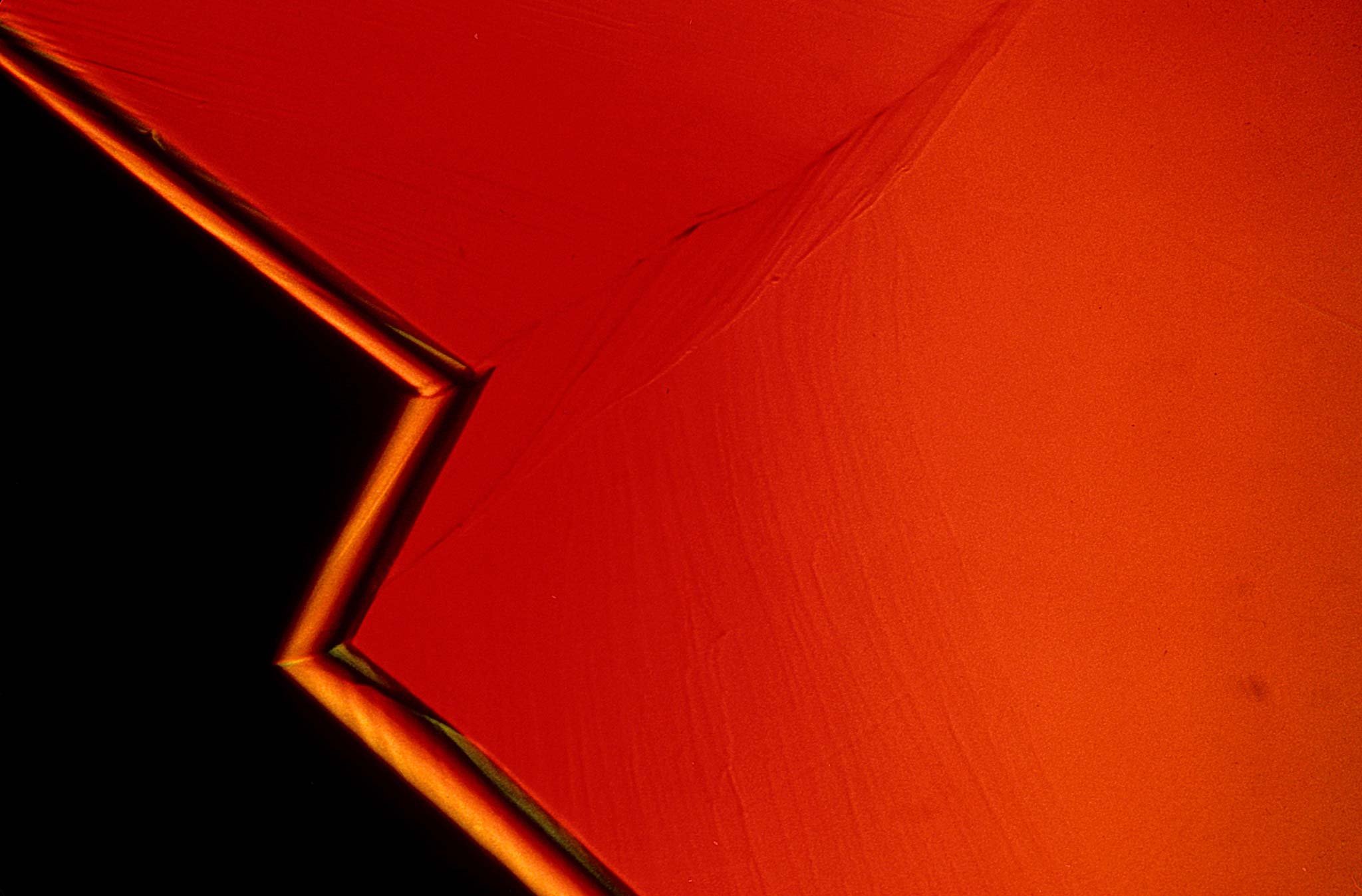 Photographic bleach chemical | Nikon Small World