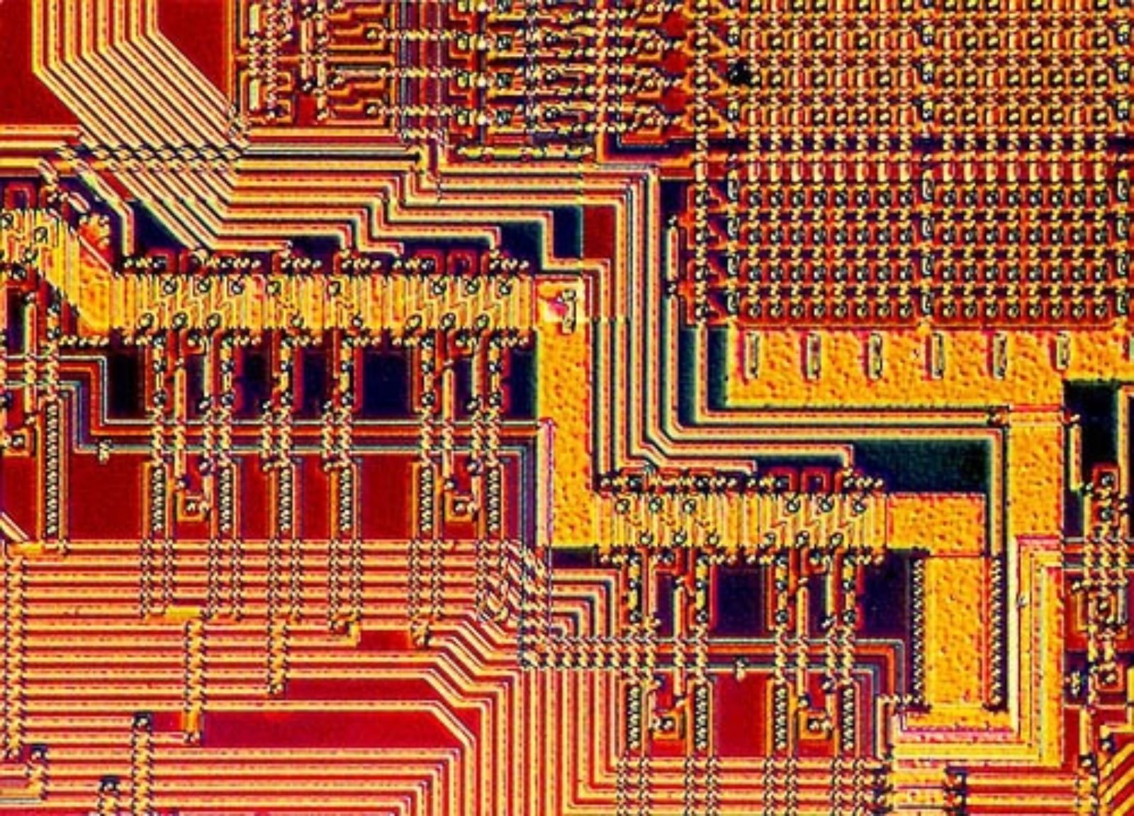 Portion of a M.O.S. integrated circuit read only memory | Nikon Small World
