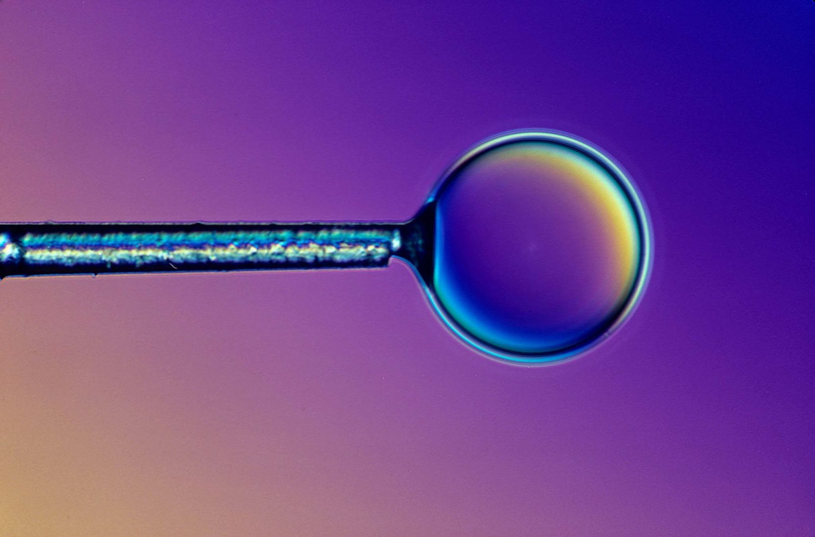 Glass spheres filled with deuterium and tritium | Nikon Small World