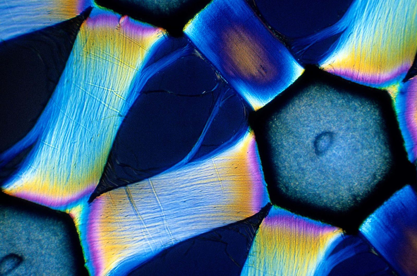 Perforated film covering the sterile surface of an adhesive bandage ...