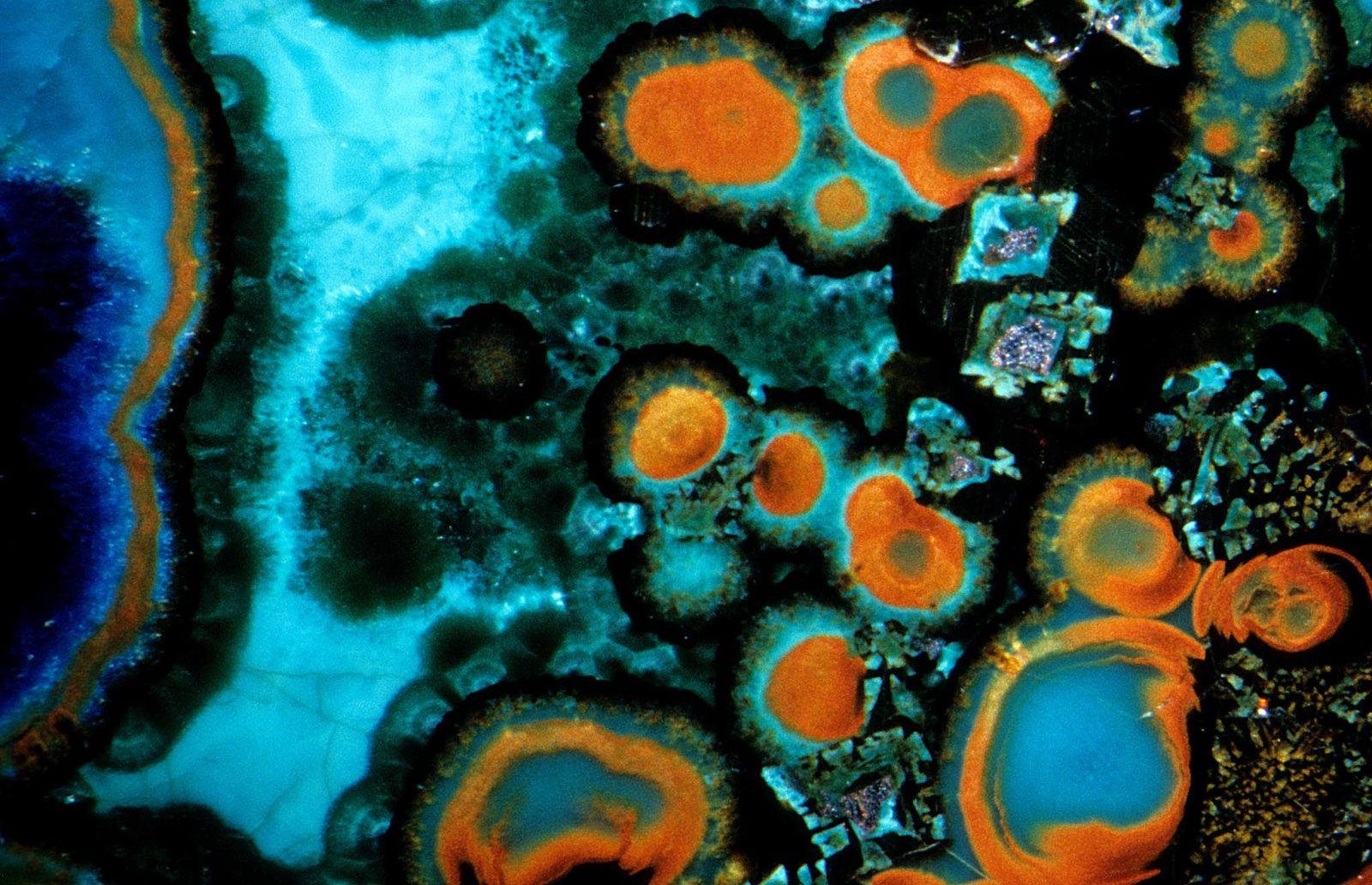 Secondary Copper Minerals From Decomposed Primary Copper Ores Nikon