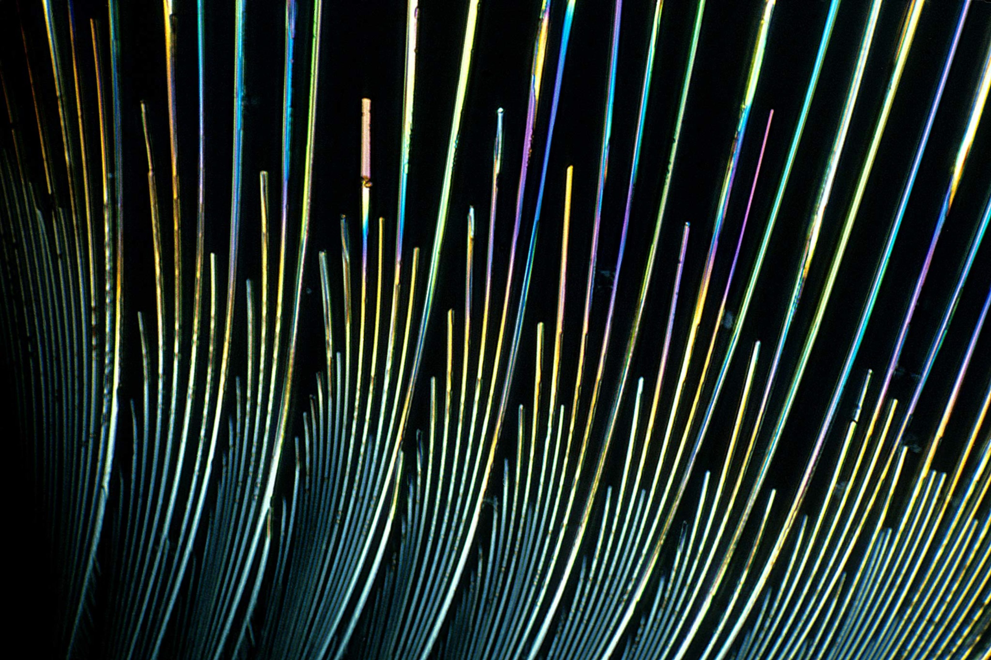 Filtered aqueous solution of the antibiotic Flagl, crystallized on a ...