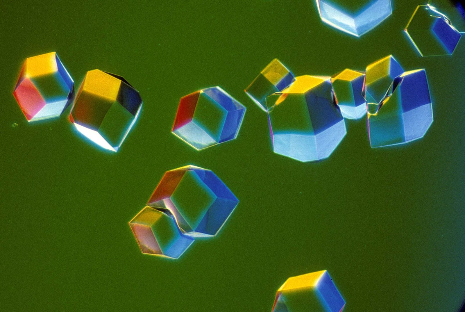 Crystals of influenza virus neuraminidase isolated from terns | Nikon ...