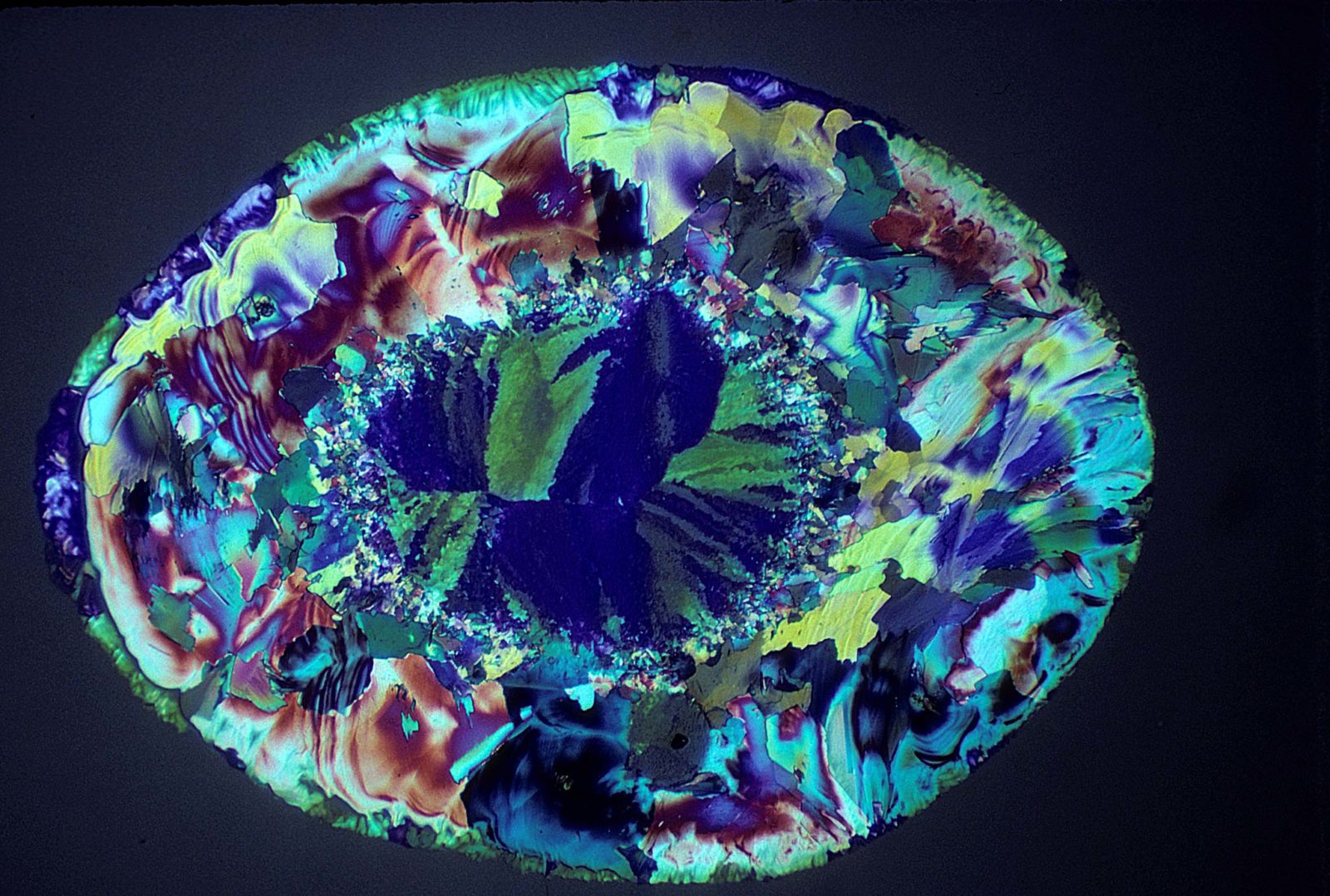 Acetaminophen crystals | Nikon Small World