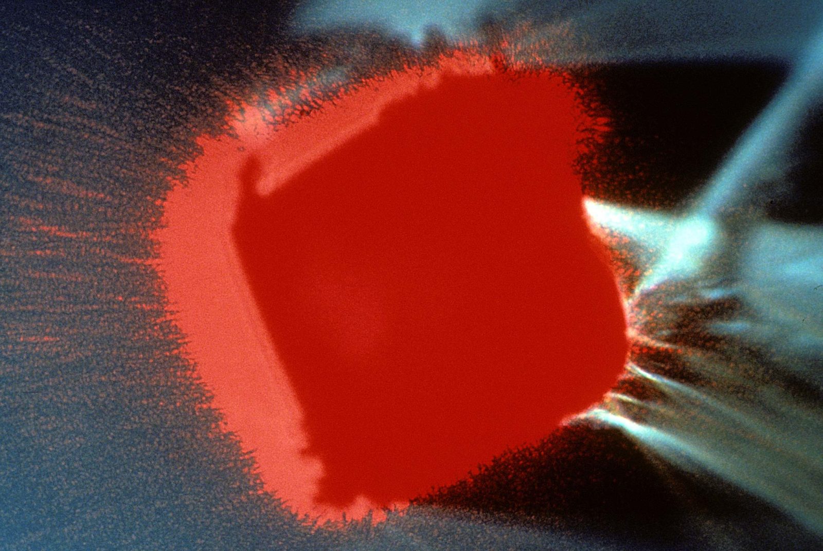 Tip of plastic clad fiber optic pumped by helium-neon laser | Nikon ...