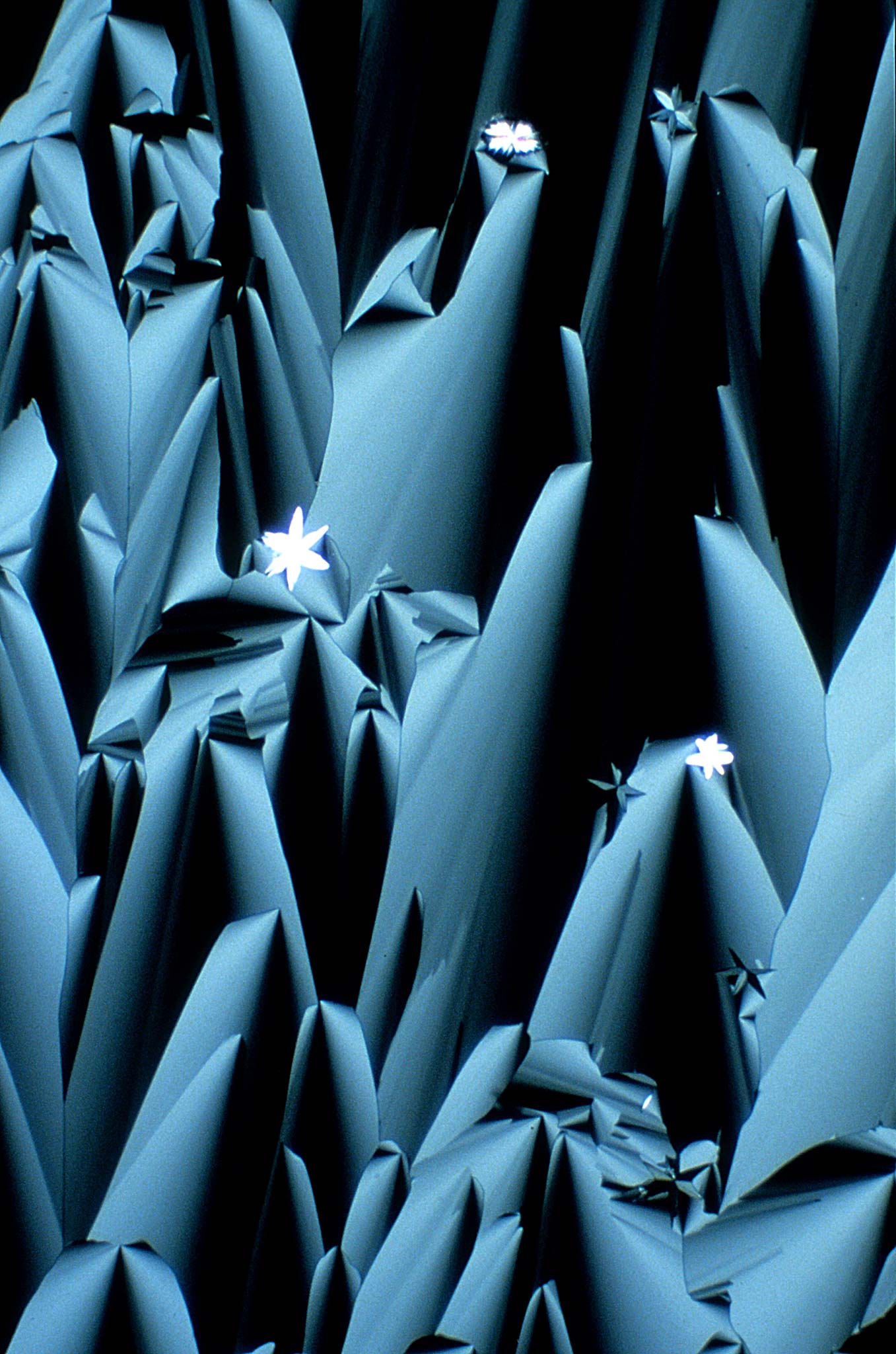 Crystal growth patterns from an anionic surfactant | Nikon Small World