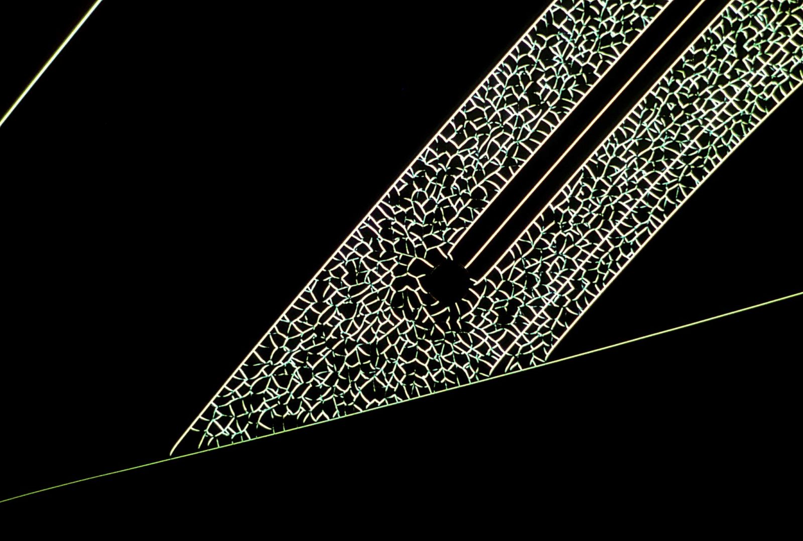 Melted sugar quenched in liquid nitrogen | Nikon Small World
