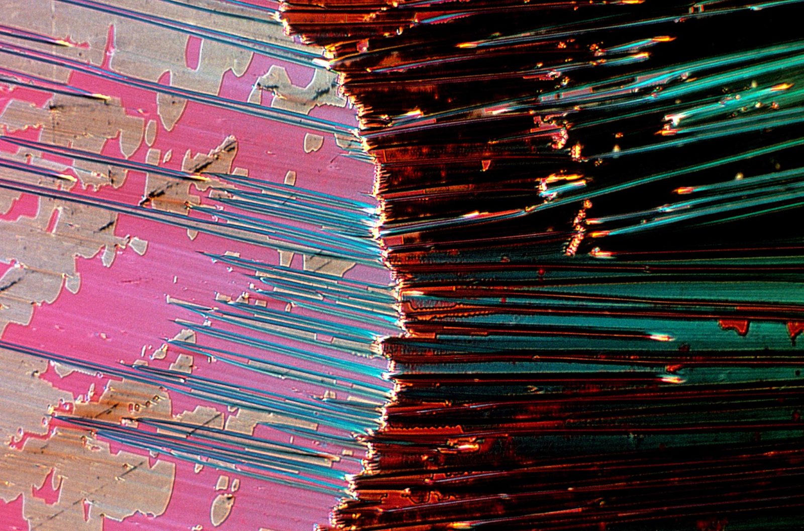 Alignment defects in thermotropic liquid crystals | Nikon Small World