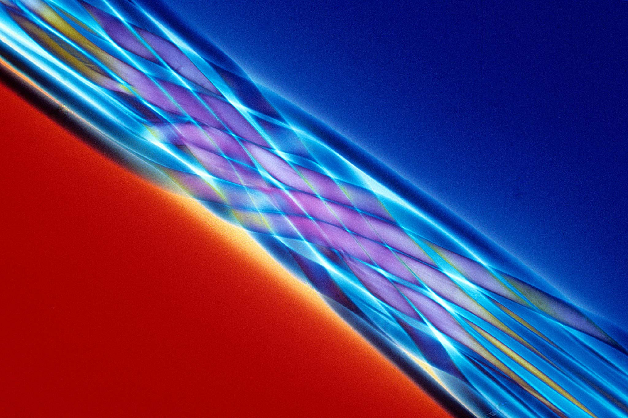 Polyurethane elastic fiber bundle | Nikon Small World