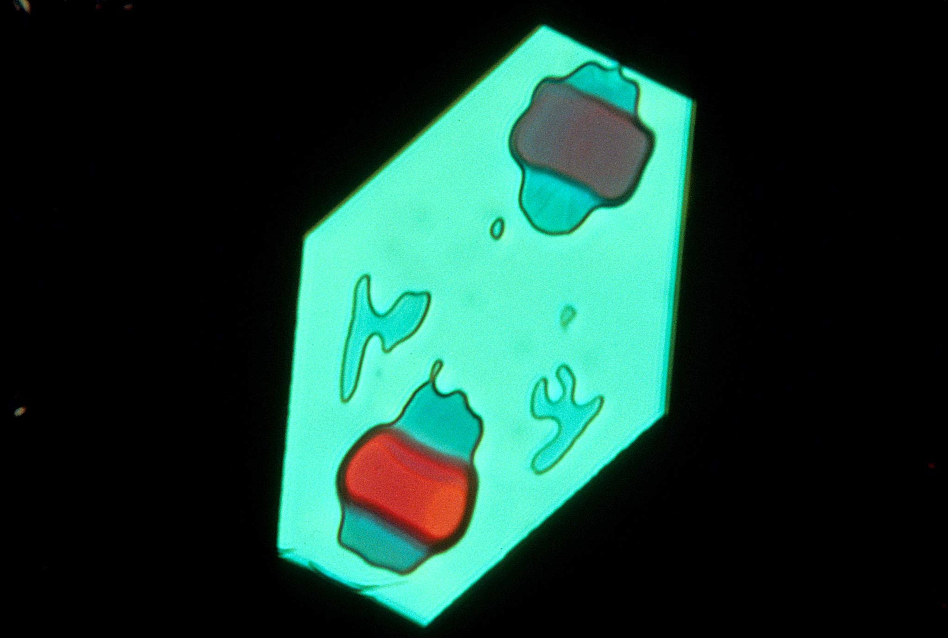 Hydroquinone powder crystals | Nikon Small World