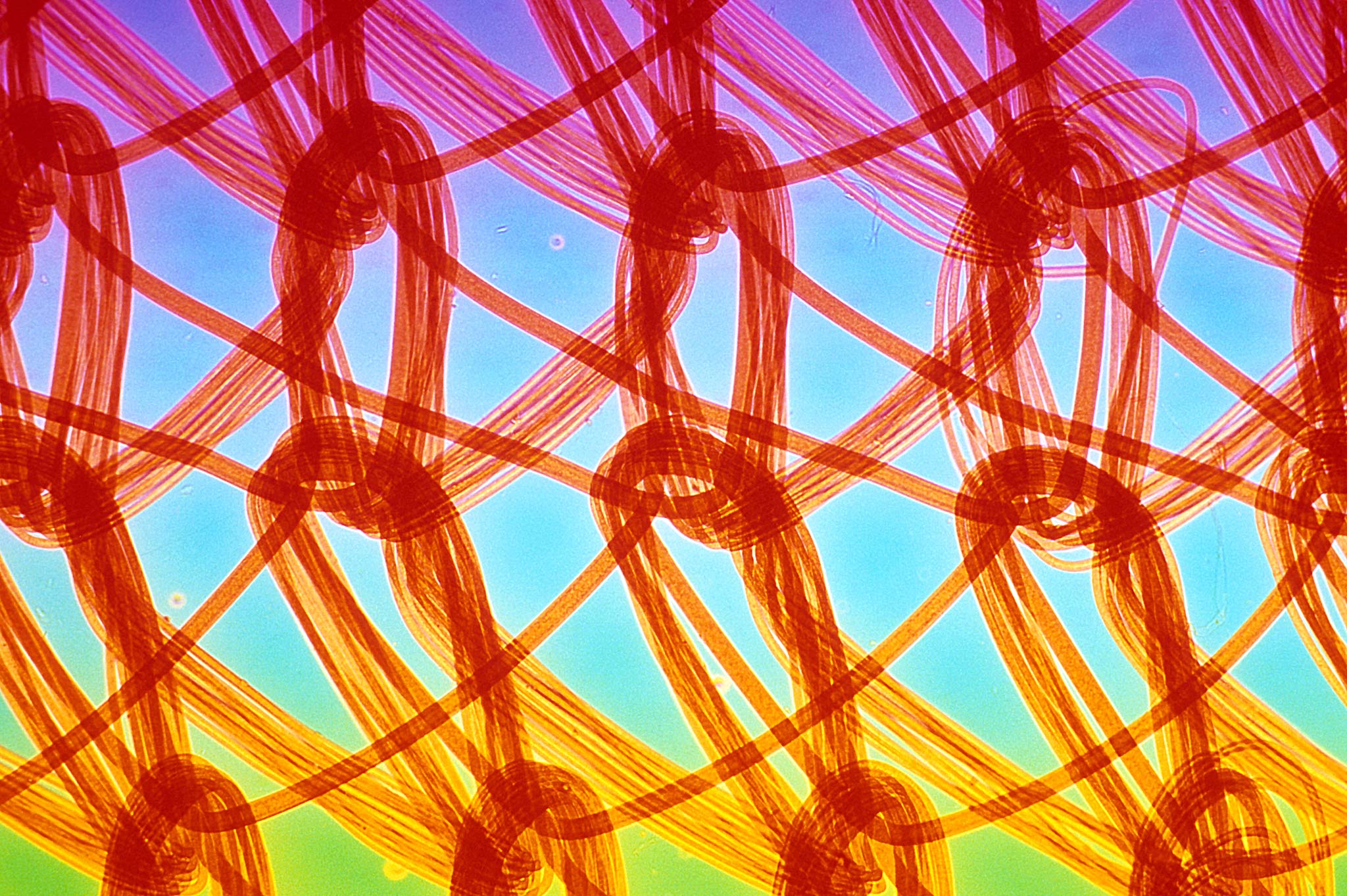 Synthetic knit textile | Nikon Small World