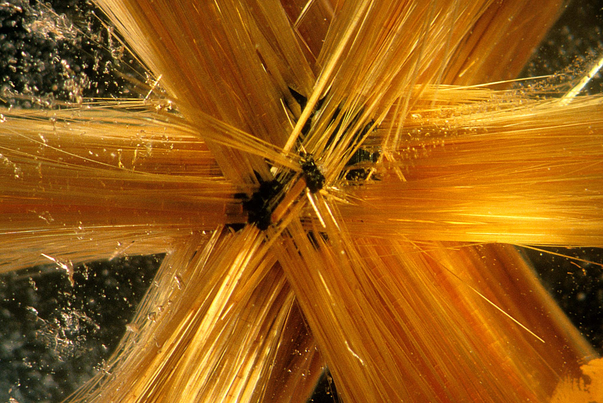 Inclusions of rutile growing from a hematite core in Brazilian quartz ...