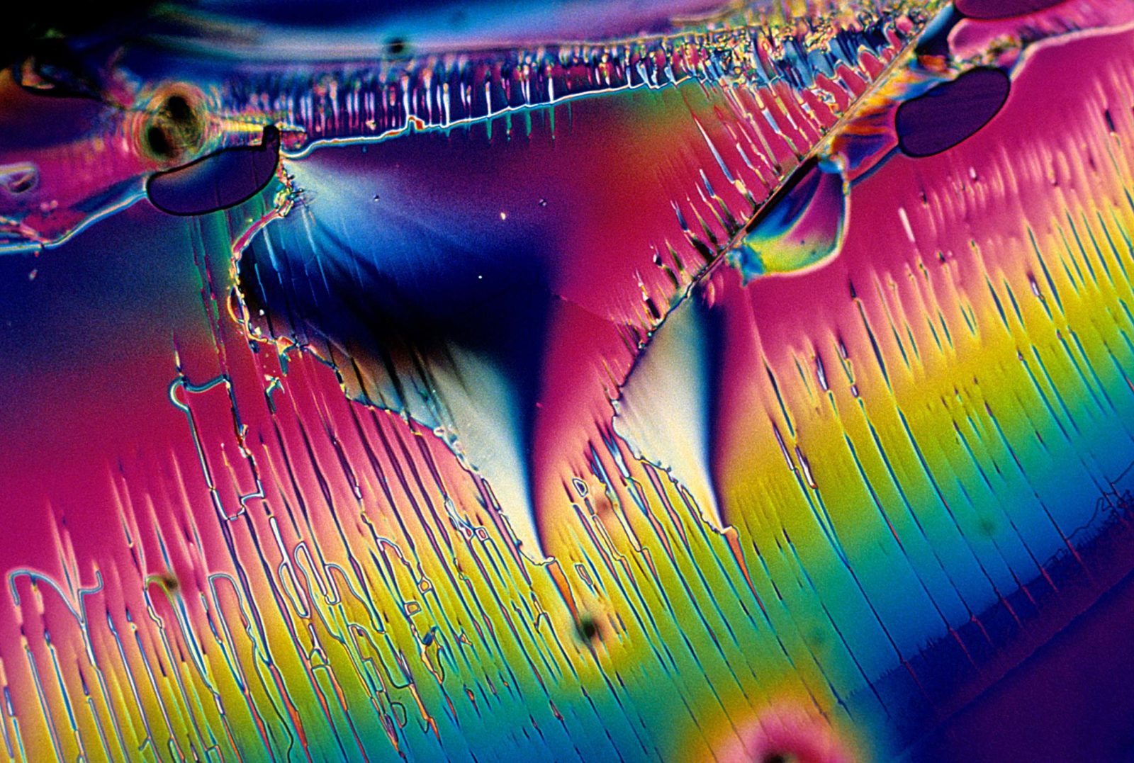 Nematic liquid crystals from a laptop computer display | Nikon Small World