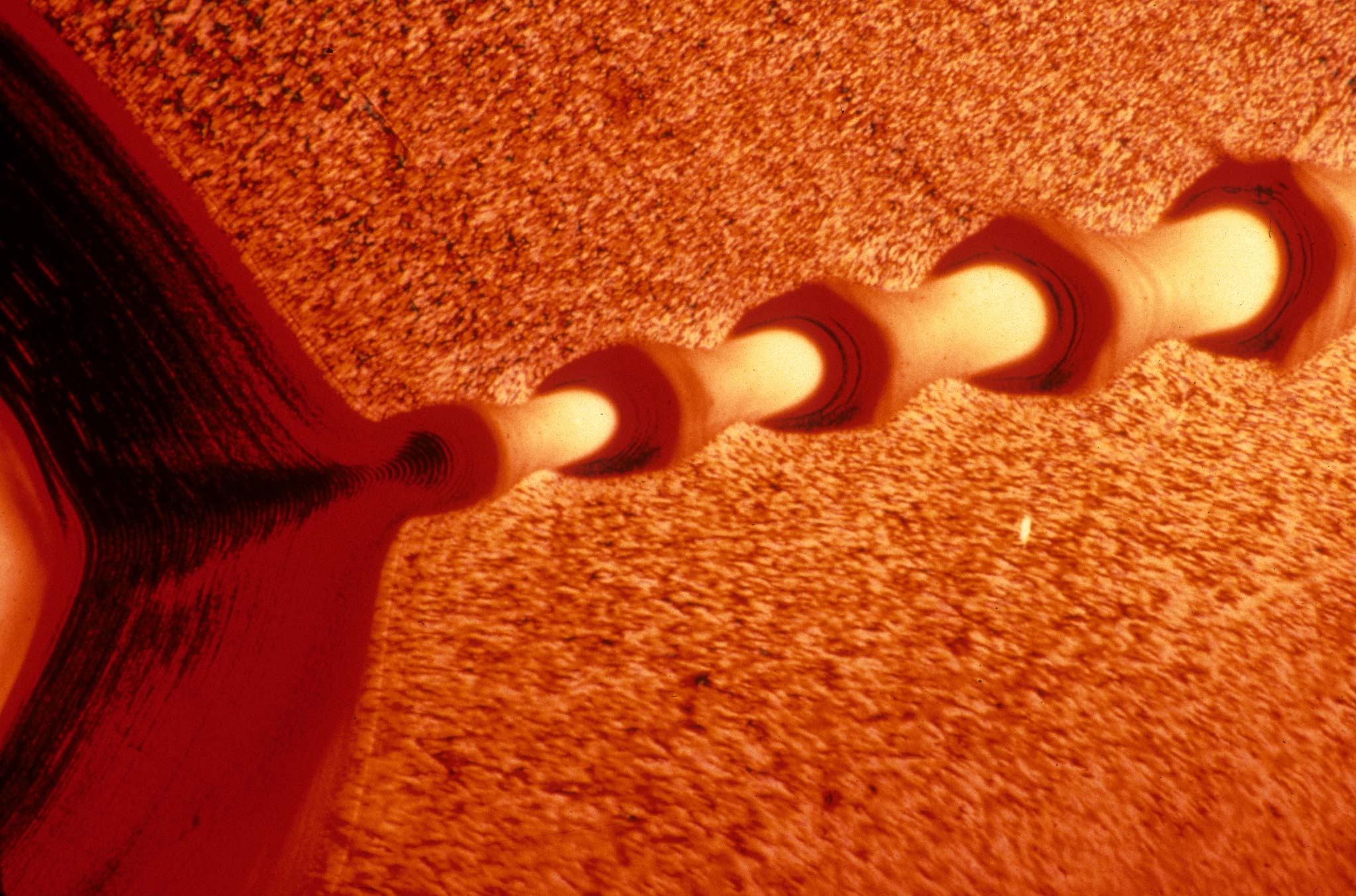 Vinylene film cast from solution | Nikon Small World