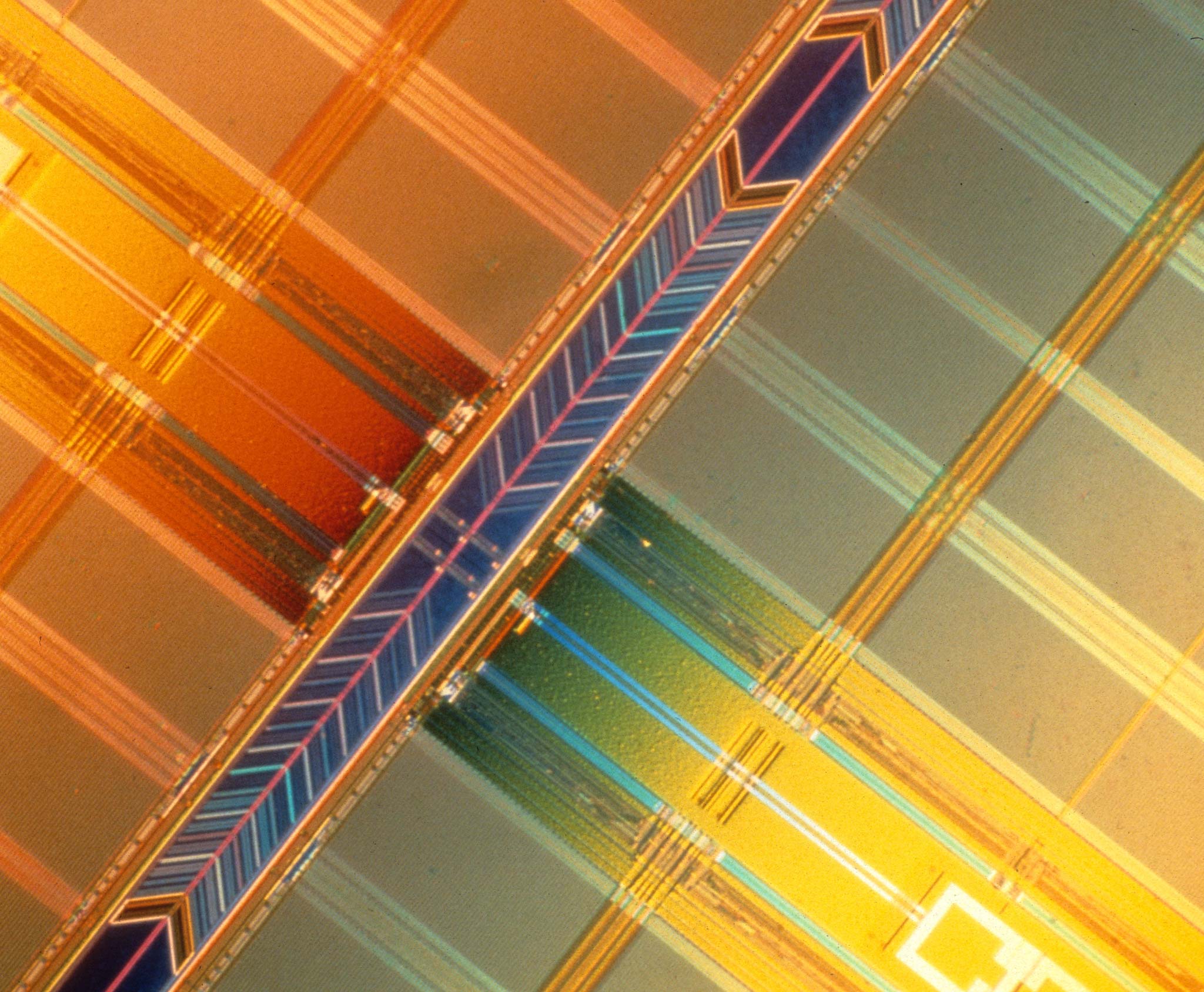 Electronic microchip | Nikon Small World